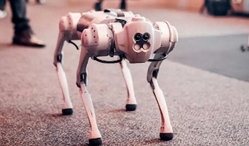 Is the Unitree Go2-W the Best Robot Dog to Purchase in 2025?